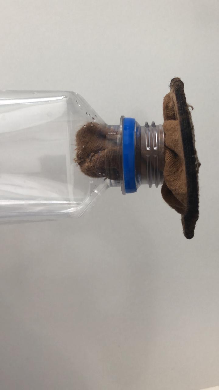 Everyone Poops: Family Play Activity for Sheltering In Place | PediaPlay