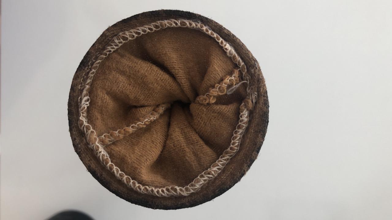 Everyone Poops: Family Play Activity for Sheltering In Place | PediaPlay